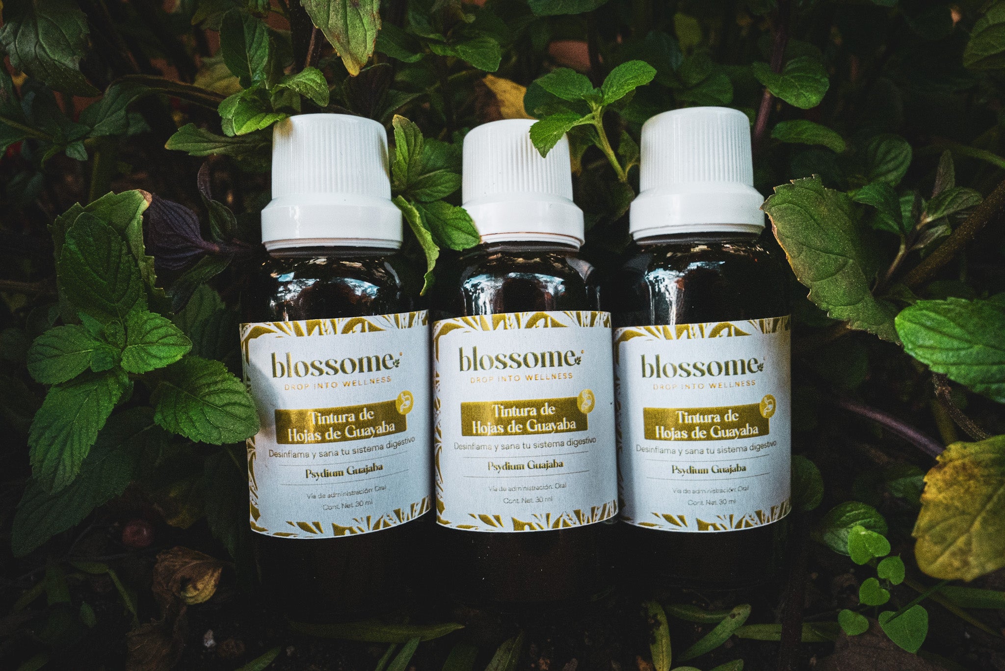 Blossome - Tinturas de Plantas Medicinales Listas Para Tomarse